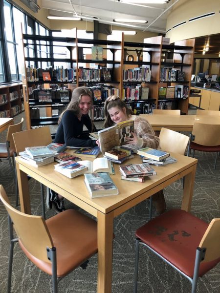 Inclusive Libraries | Lake Washington Schools Foundation