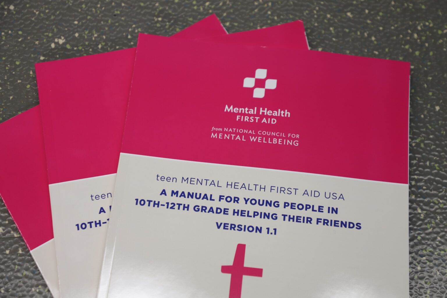 Youth Mental Health Training | Lake Washington Schools Foundation